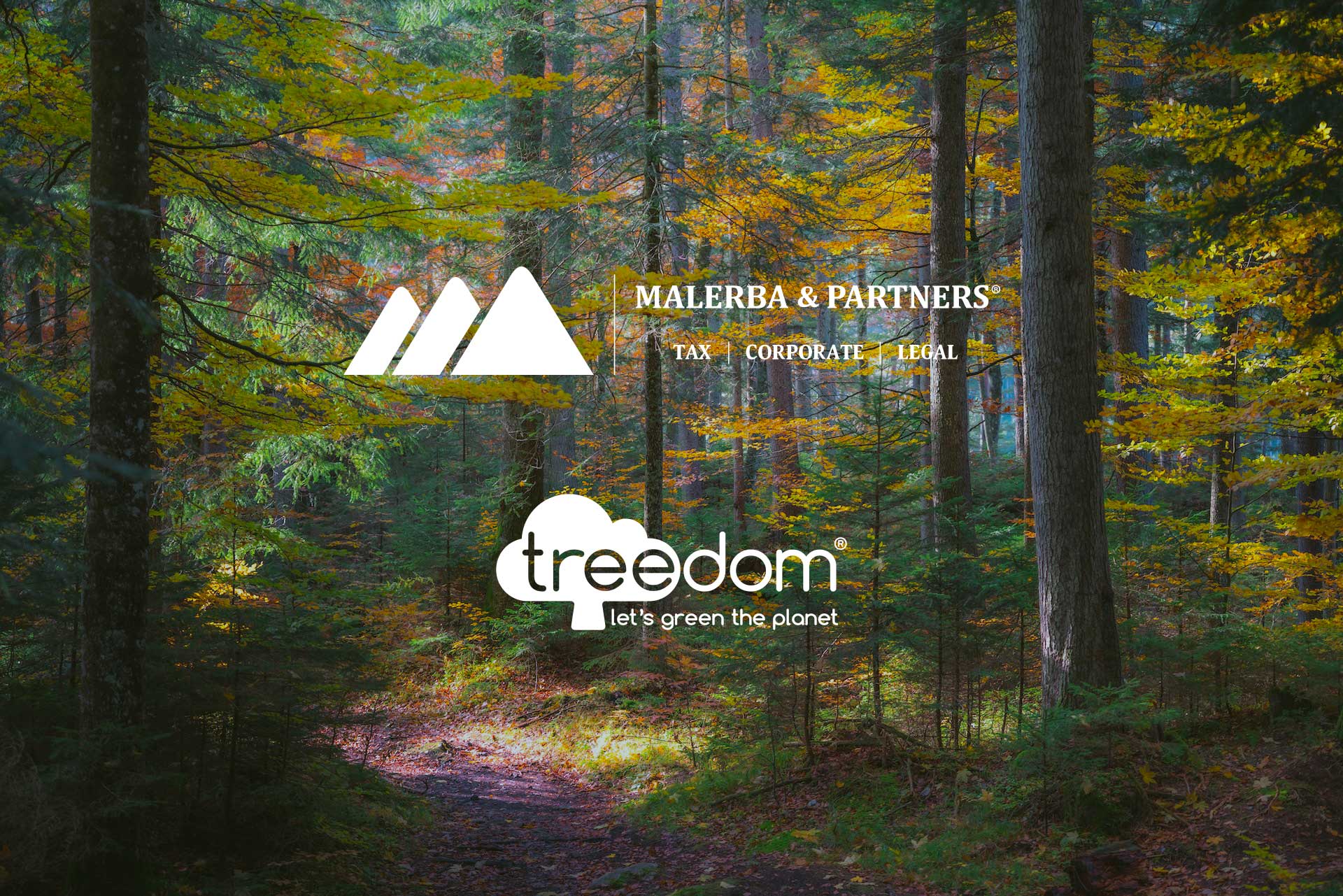 Malerba & Partners ft. Treedom: Una foresta che si amplia | Malerba ...